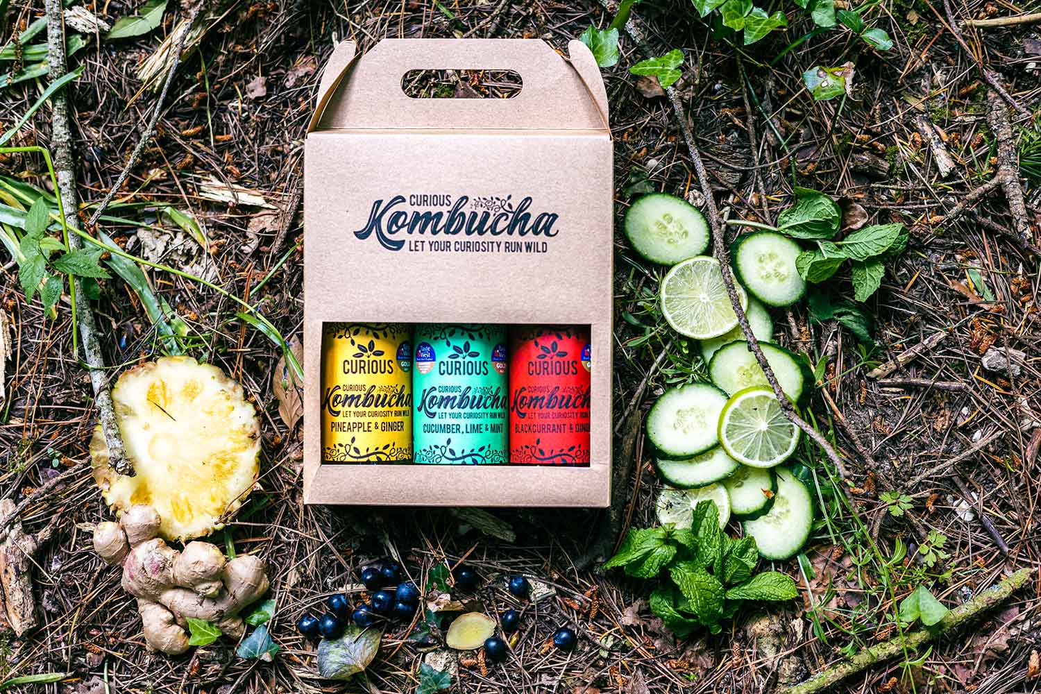 Kombucha Gift Pack – Curious Kombucha